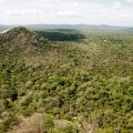 Diferencia entre Selva, Jungla y Bosque: ¡Descubre las Características ...